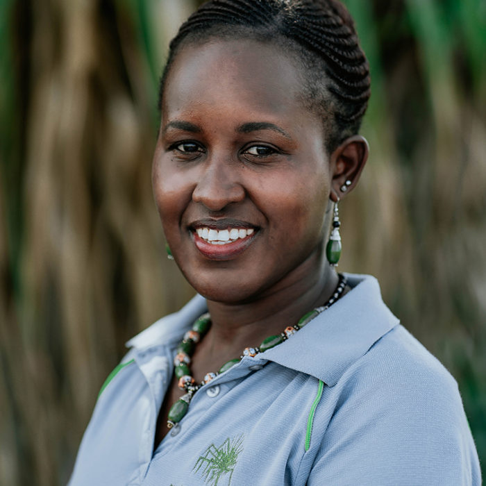 About Us – Territory Therapy Solutions